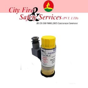 Actuator & Solenoid Valve for Fire Suppression Systems | Fire Fighting ...